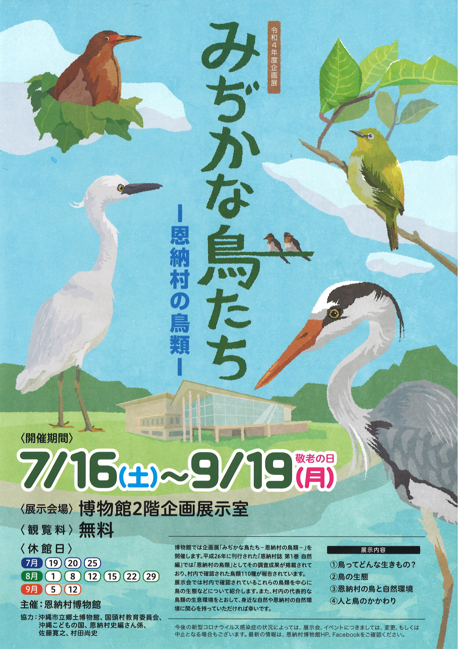企画展みぢかな鳥たち恩納村の鳥類 沖縄イベント情報 ぴらつかこよみ
