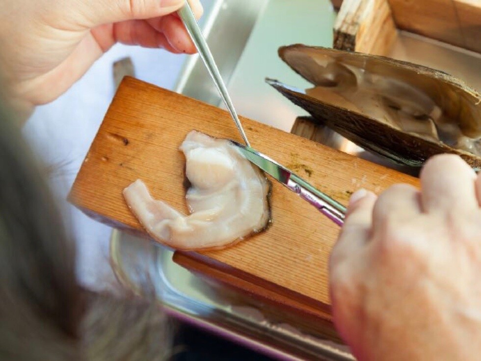 The surroundings of Lake Biwa pearls | Okinawa event information ...