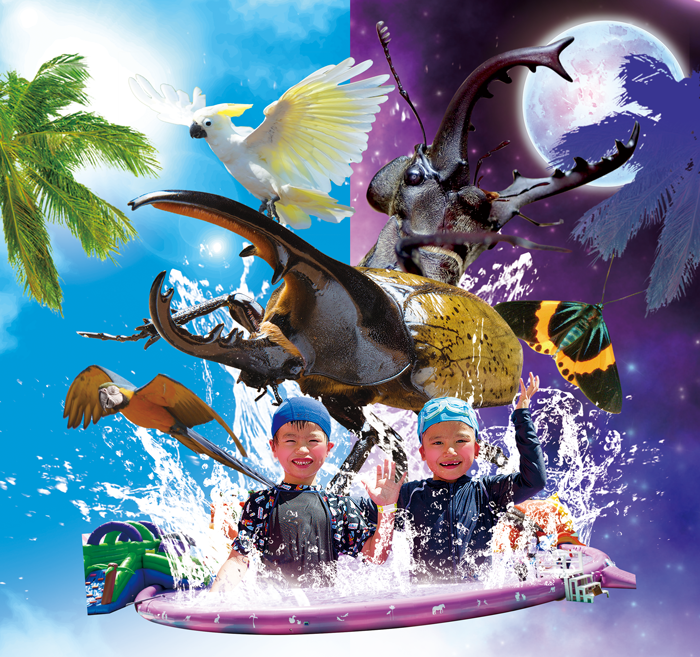 Summer Vacation Exciting Adventure Gakko Doki Doki Adventure Night 2024 ...