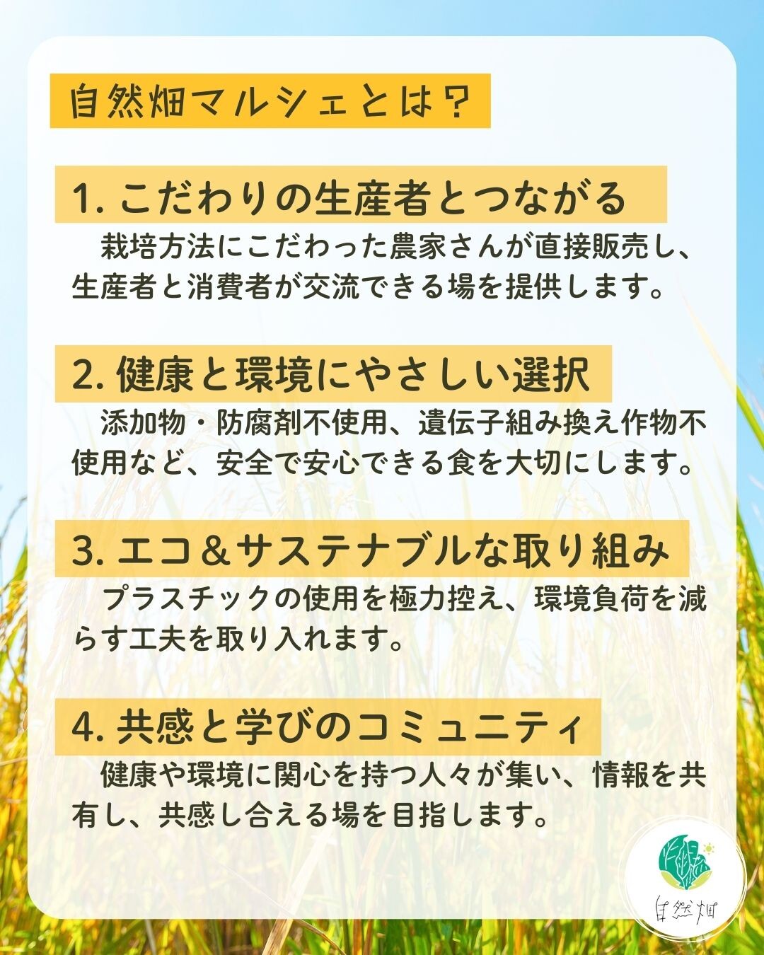 Nature Field Marche | Okinawa event information PIRATSUKA KOYOMI