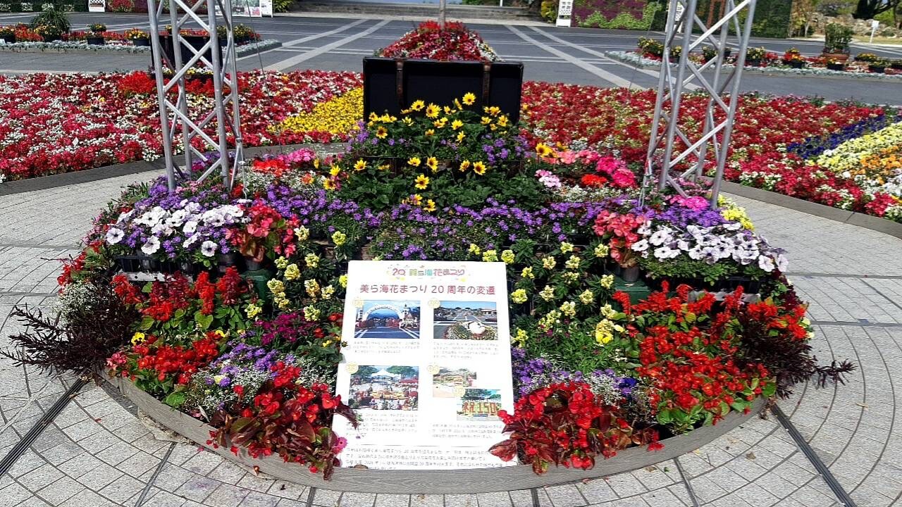 21st Churaumi Flower Festival | Okinawa event information PIRATSUKA KOYOMI